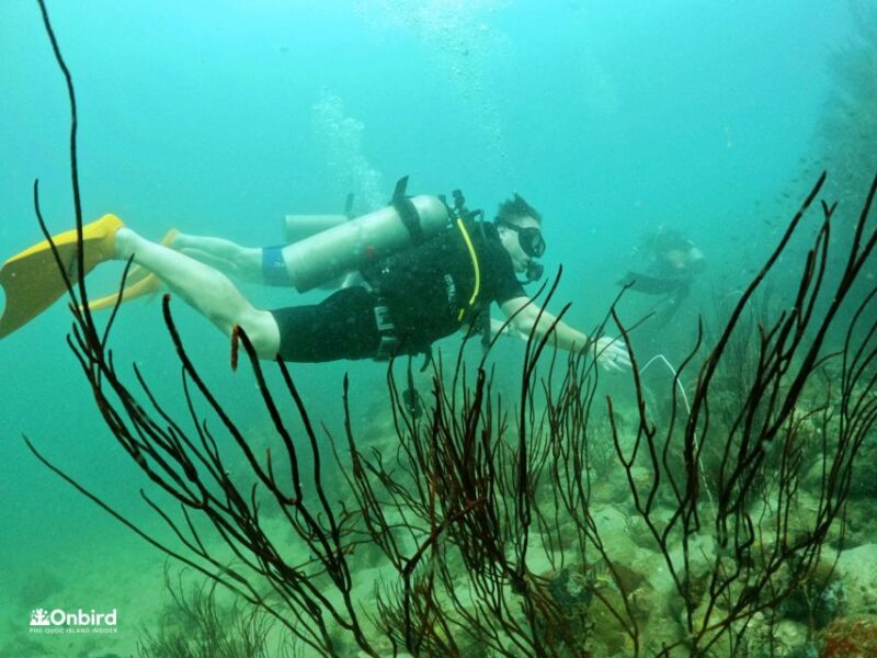 Phu Quoc: Scuba Diving Experience for All Levels - Final Thoughts