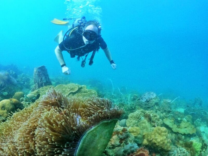 Phu Quoc: Scuba Diving Experience for All Levels - FAQs