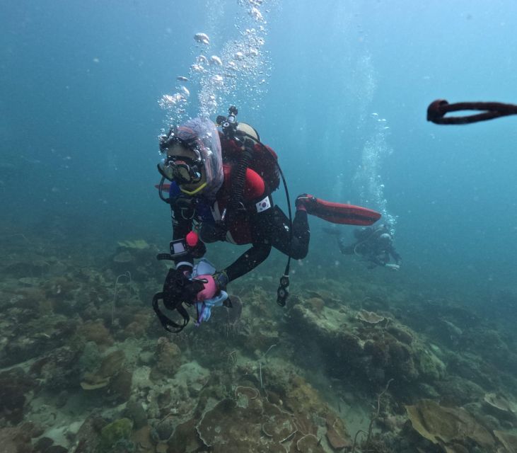 Phu Quoc: Scuba Diving Tour, one day in ocean Phu Quoc - Key Points