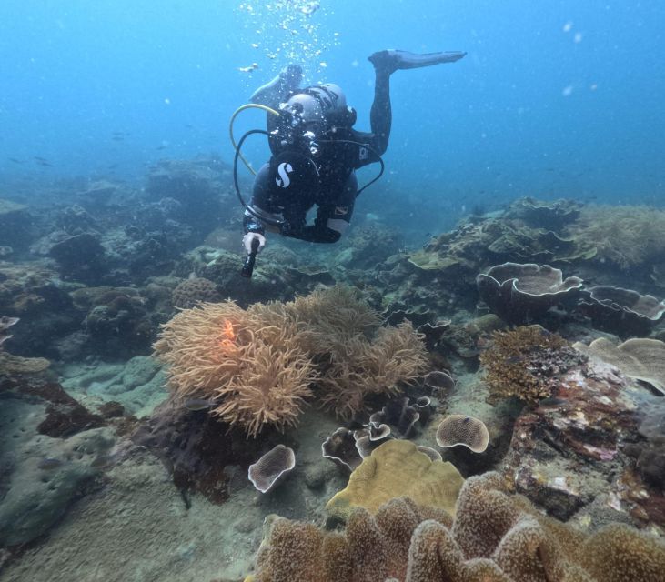 Phu Quoc: Scuba Diving Tour, one day in ocean Phu Quoc - What Makes This Tour a Good Choice?