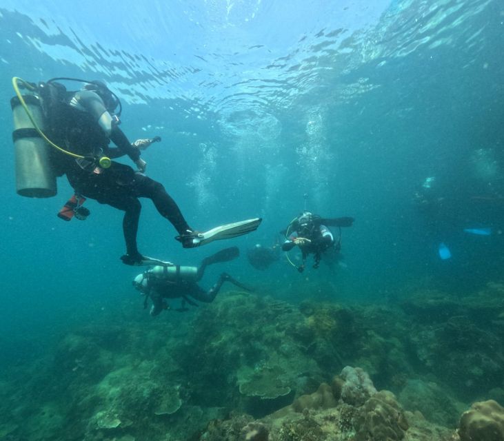 Phu Quoc: Scuba Diving Tour, one day in ocean Phu Quoc - FAQs