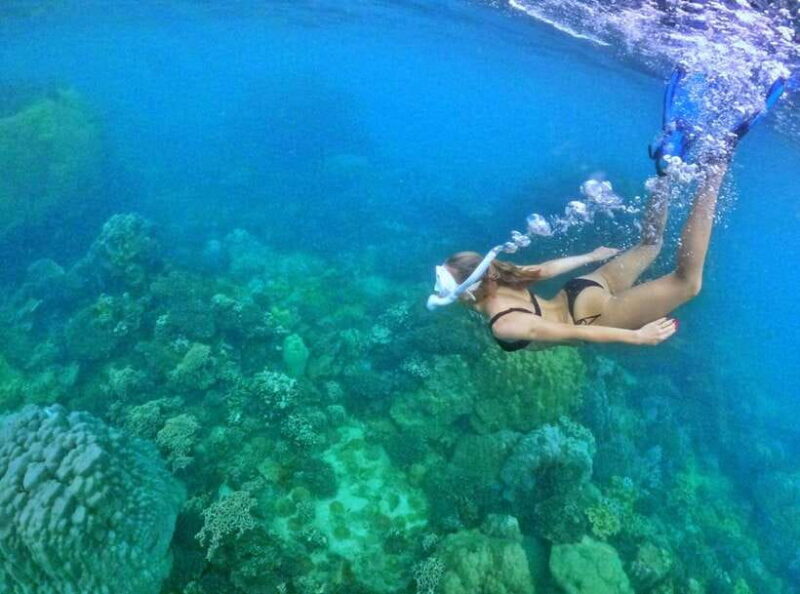 Phu Quoc Small-group Snorkeling to the Coral Jungle Reef - Key Points