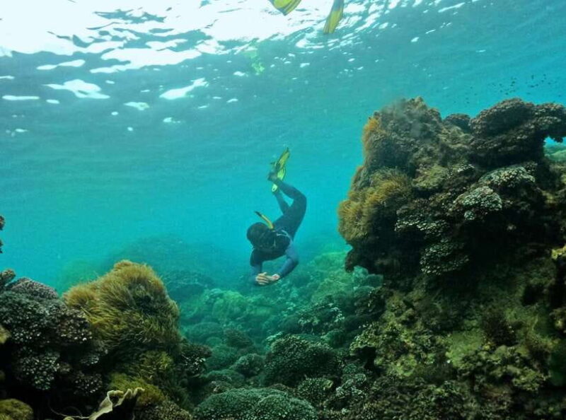 Phu Quoc Small-group Snorkeling to the Coral Jungle Reef - The Itinerary in Detail
