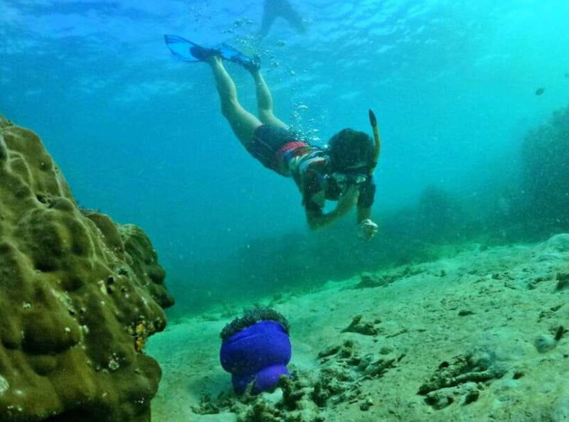 Phu Quoc Small-group Snorkeling to the Coral Jungle Reef - FAQs