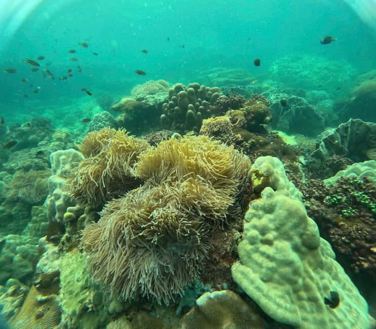 Phu Quoc: Snorkeling and Island Hopping by Speedboat & Lunch - Final Thoughts