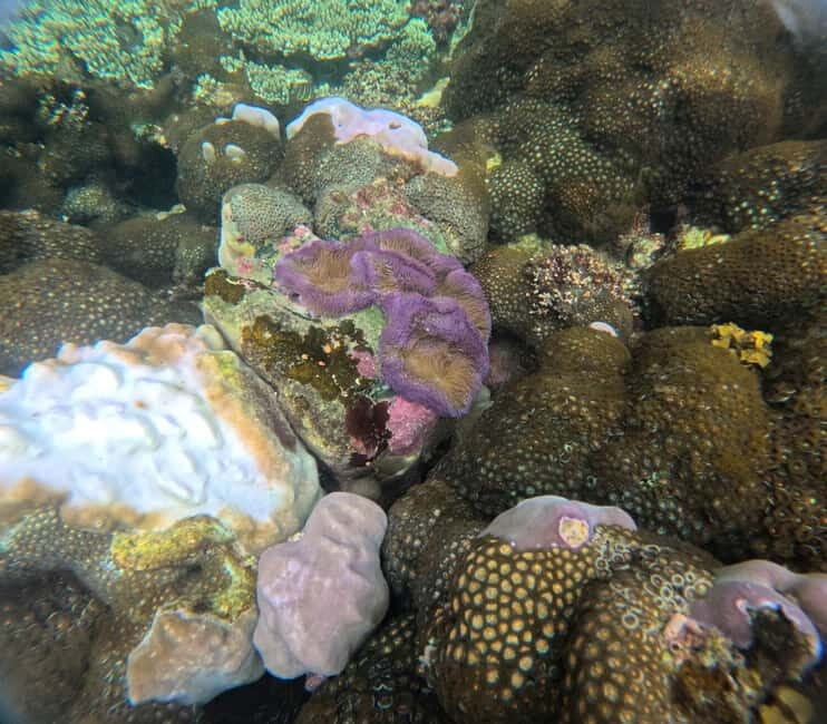 Phu Quoc: Snorkeling and Island Hopping by Speedboat & Lunch - FAQs