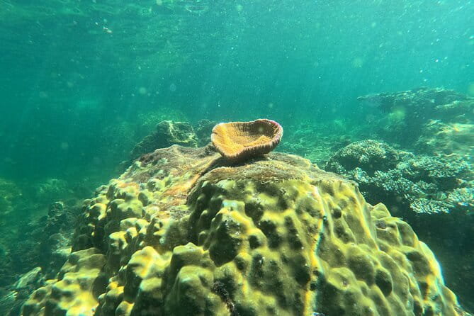 Phu Quoc: Snorkeling and Island Hopping By Speedboat with Lunch - What’s Included and What to Keep in Mind