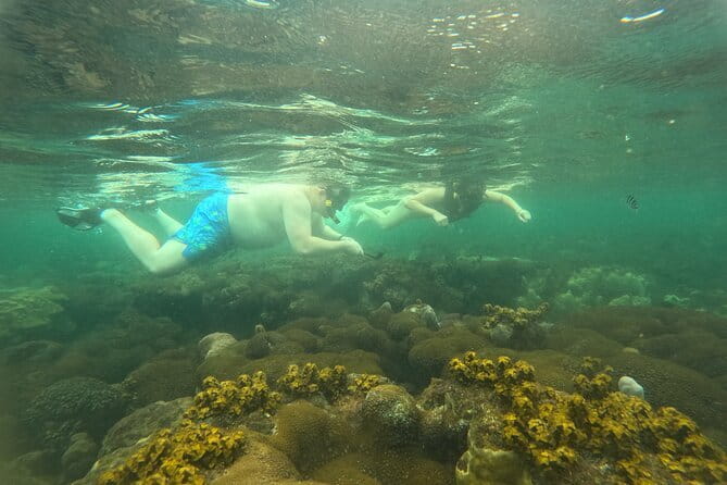 Phu Quoc: Snorkeling and Island Hopping By Speedboat with Lunch - Authentic Experiences and Review Highlights