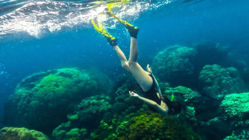 Phu Quoc: Snorkeling discover Southern, Northern Coral Reefs - Transportation & Group Size