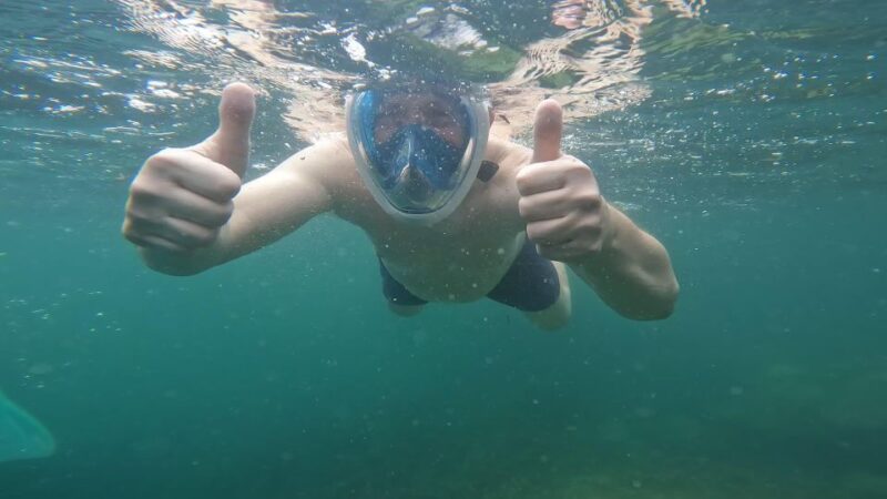 Phu Quoc: Snorkeling discover Southern, Northern Coral Reefs - Value and Cost Analysis