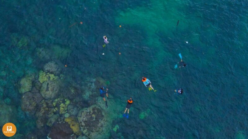 Phu Quoc: Snorkeling discover Southern, Northern Coral Reefs - Who Will Love This Tour?