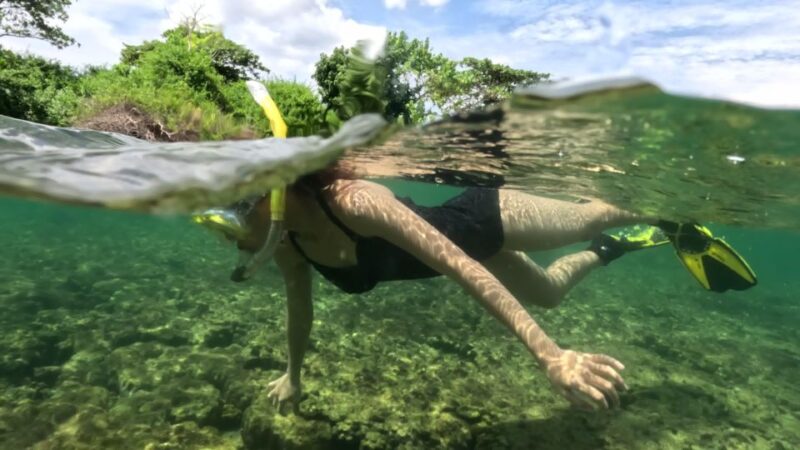 Phu Quoc: Snorkeling discover Southern, Northern Coral Reefs - The Sum Up