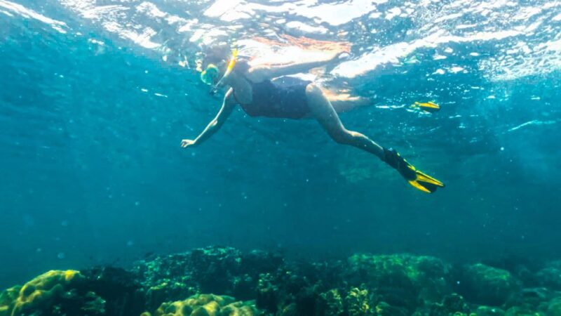 Phu Quoc: Snorkeling discover Southern, Northern Coral Reefs - Frequently Asked Questions