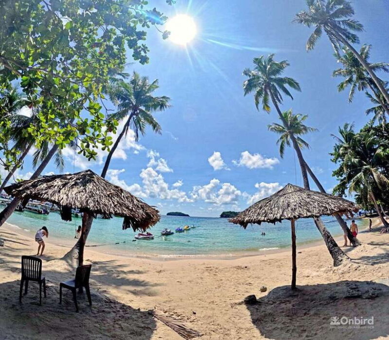 Phu Quoc Speedboat Pro Snorkeling: 4 Islands-2 Reefs & Meal - Key Points