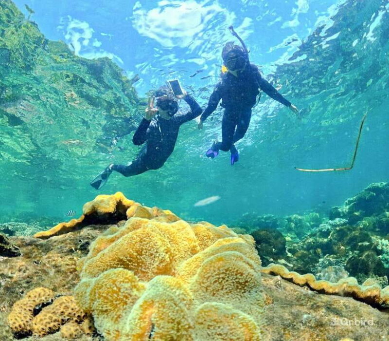 Phu Quoc Speedboat Pro Snorkeling: 4 Islands-2 Reefs & Meal - Why This Tour Offers Great Value