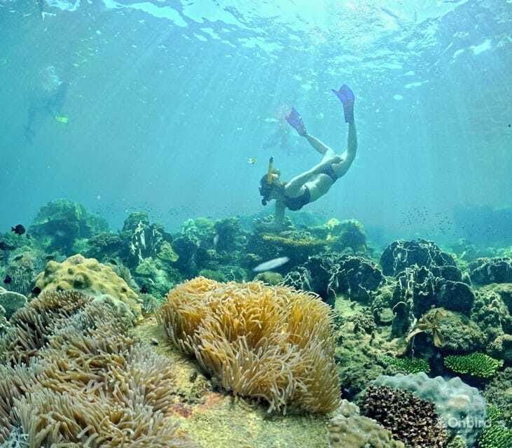 Phu Quoc Speedboat Pro Snorkeling: 4 Islands-2 Reefs & Meal - Who Will Love This Tour?