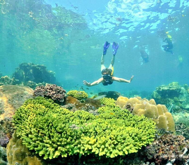 Phu Quoc Speedboat Pro Snorkeling: 4 Islands-2 Reefs & Meal - Final Thoughts