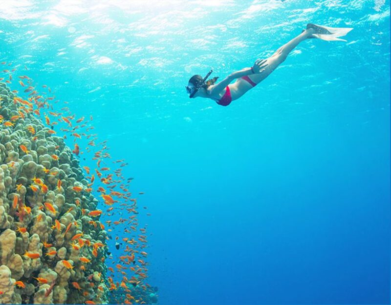 Phu Quoc: Speedboat Tour of 4 Islands with Snorkeling & BBQ - Small Group Advantage: Better Experience, More Flexibility