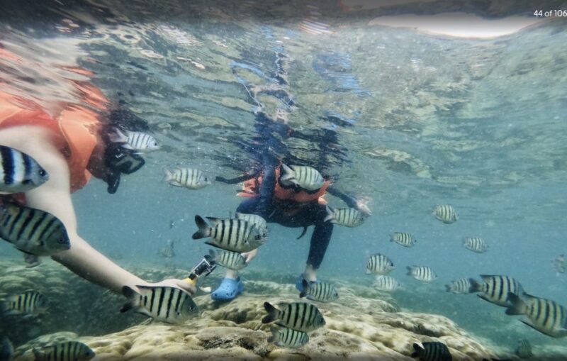 Phu Quoc: Speedboat Tour of 4 Islands with Snorkeling & BBQ - Final Thoughts: Is This Tour Right for You?