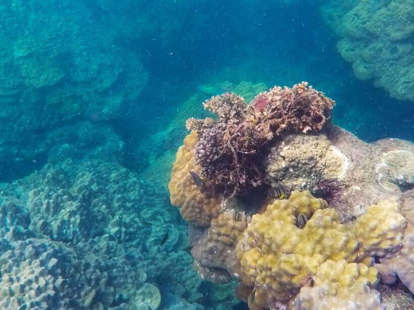 Phu Quoc Speedboat Trip: 3 Islands By Speedboat - Final Thoughts: Is This Tour Right for You?