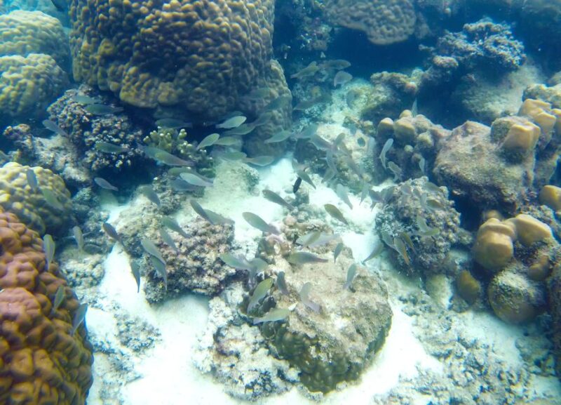 Phu Quoc Speedboat Trip: 3 Islands By Speedboat - The Value Proposition: Price vs. Experience