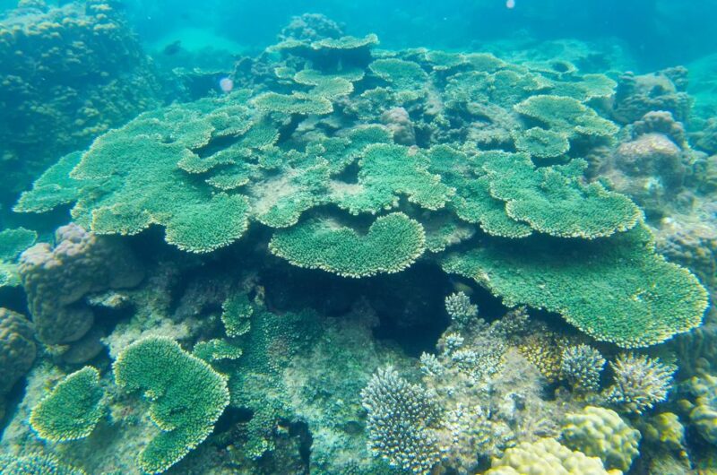 Phu Quoc Speedboat Trip: 3 Islands By Speedboat - Frequently Asked Questions