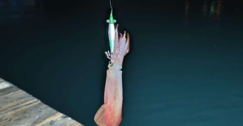 Phu Quoc: Squid Fishing Tour with sunset views & dinner - Key Points