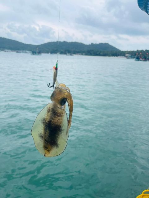 Phu Quoc: Squid Fishing Tour with sunset views & dinner - Who Is This Tour Best For?