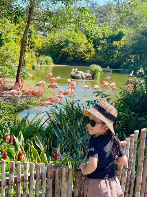 Phu Quoc: Vinpearl Safari Park Entry Ticket - Who Will Enjoy This Experience Most?