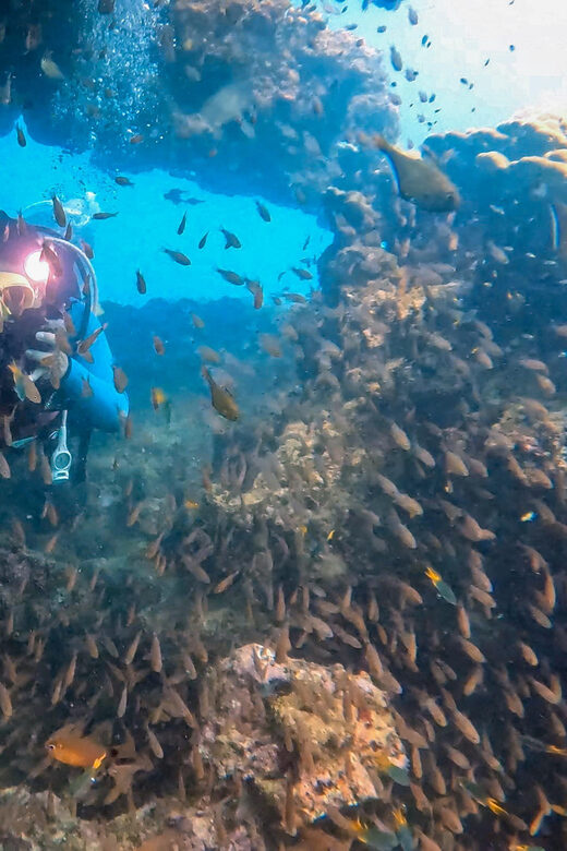 Phuket: 2 Coral Reef Dives with Lunch at The G Beach Club - The Sum Up: Who Is This Tour For?