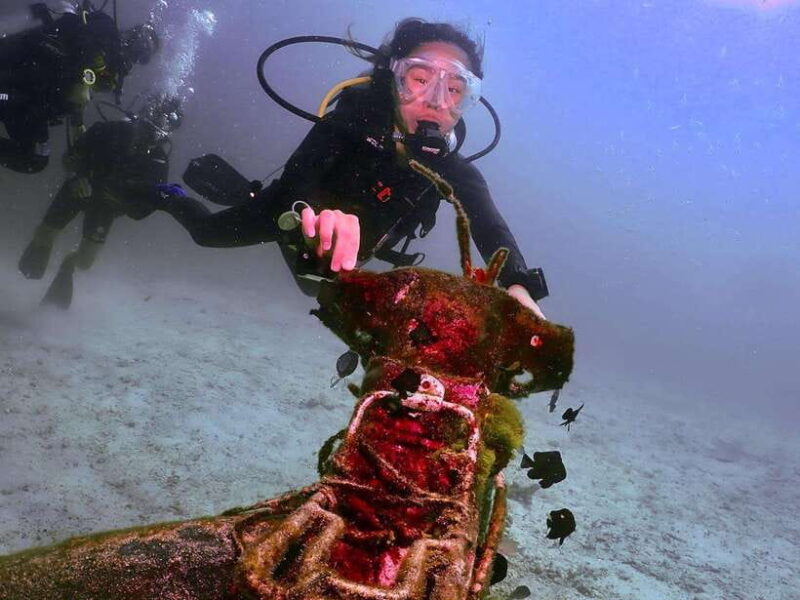 Phuket: 3 Dive Koh Phi Phi/Shark Point Scuba Diving Day Trip - Frequently Asked Questions