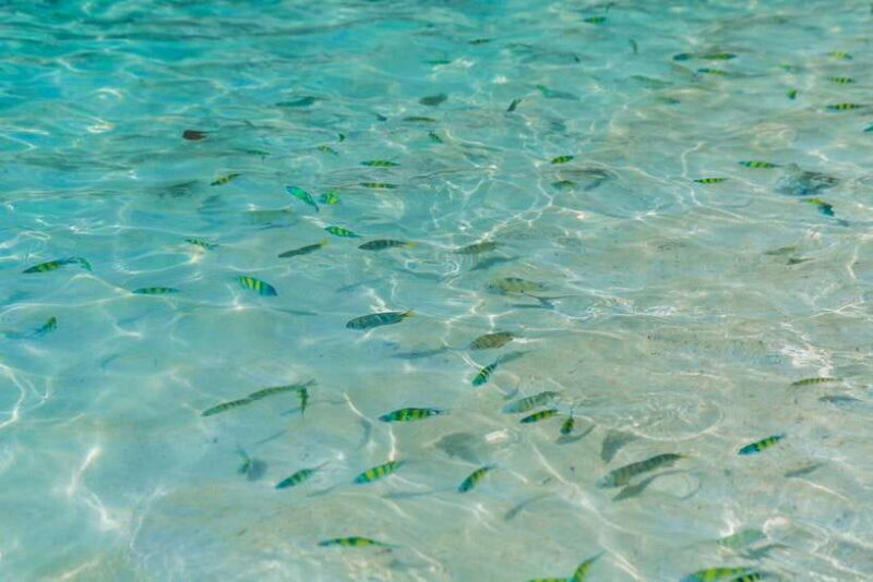 Phuket: 3 Khai Islands Snorkeling and Relaxation Tour - Why This Tour Works