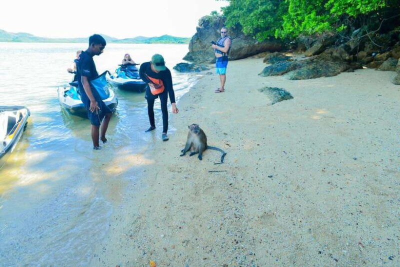 Phuket: 5 or 8-Island Jet Ski Tour with Lunch and Transfer - Who Will Love This Experience?