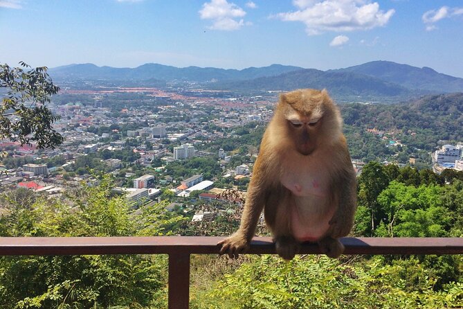 Phuket Amazing Sunset :Phromthep Cape,Chillva Market,Monkey Hills - Authentic Experiences and Guide Expertise