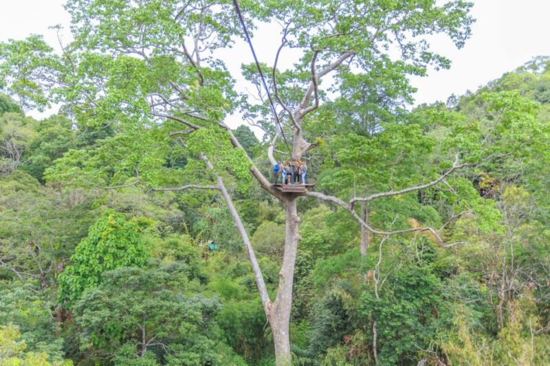 Phuket: ATV and Zipline Panoramic Adventure - FAQ