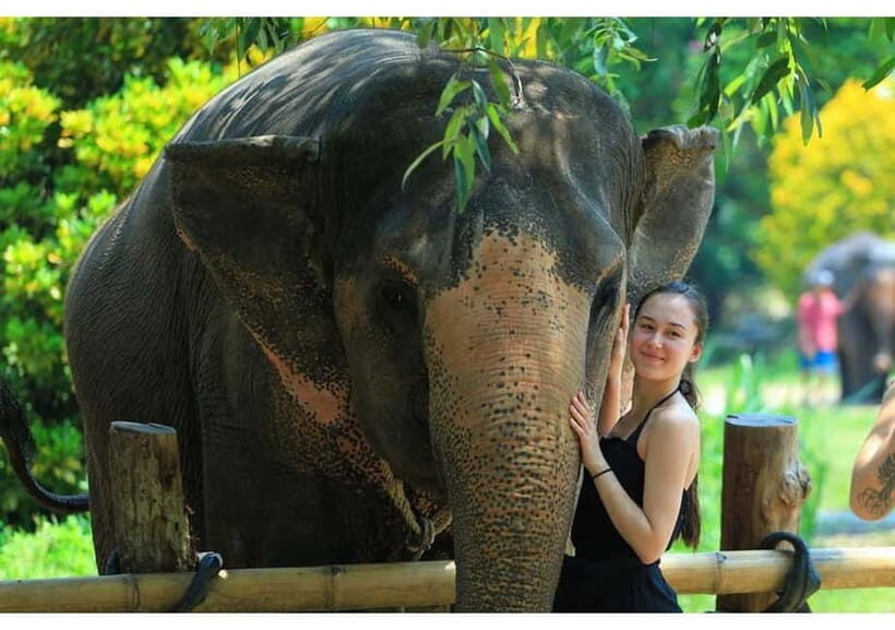 Phuket: Bamboo Rafting, ATV (Optional), Elephant Bathing. - The Sum Up: Is This Tour Right for You?