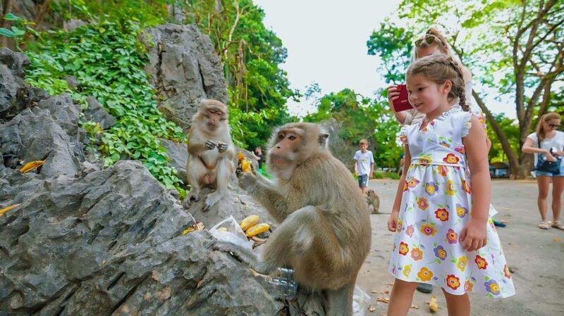 Phuket: Bamboo & Water Rafting with Elephant Bathing - The Sum Up: Is It Worth It?