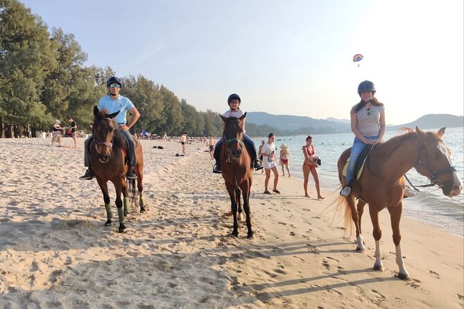 Phuket Beach and Horse Rides 1 Hour Experience - Who Should Book This Tour?