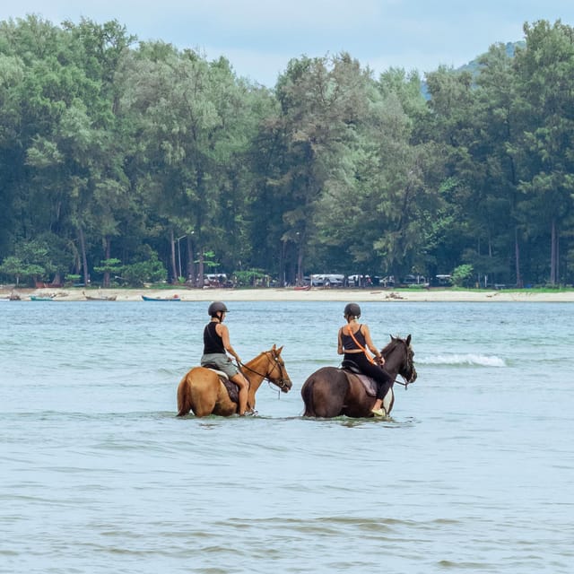 Phuket Beach Horseback Adventure - The Experience and Value