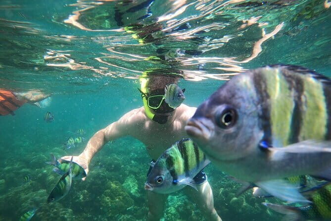 Phuket: Best of Phi Phi Islands Snorkeling Tour with Lunch - Key Points