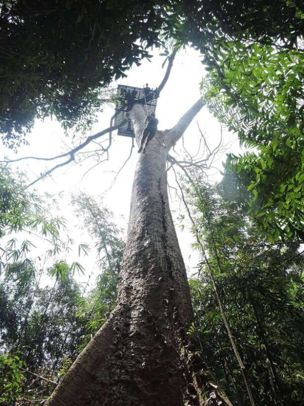 Phuket: Big Buddha Viewpoint ATV Tour and Zipline Adventure - Frequently Asked Questions