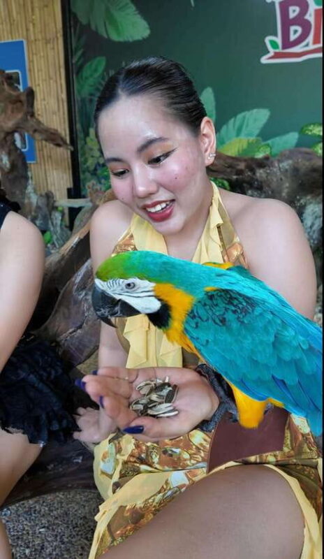 Phuket: Bird Park Entry Ticket - Key Points