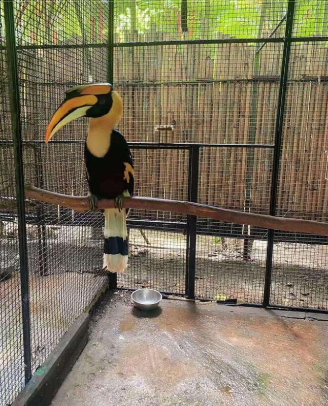 Phuket: Bird Park Entry Ticket - Who Will Love This?