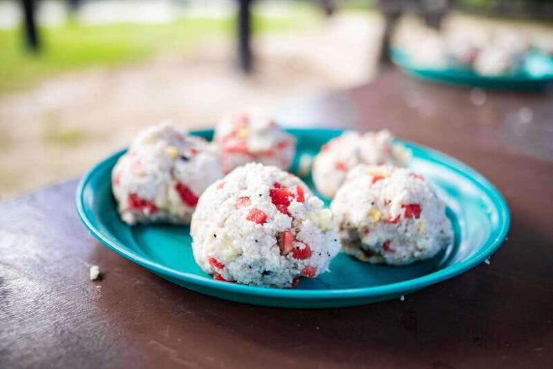 Phuket: Bukit Elephant Park Sanctuary Walk and Feed Tour - Who Will Love This Tour?