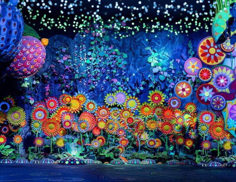 Phuket: Carnival Magic Show Royal Seat with Dinner - Who Should Consider This Experience?