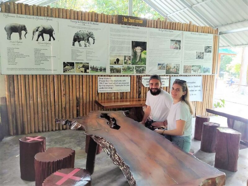 Phuket: Cheow Lan Lake Overnight with Elephant Day Care - Key Points