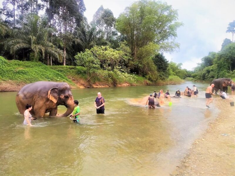 Phuket: Cheow Lan Lake Overnight with Elephant Day Care - Who Will Love This Tour?