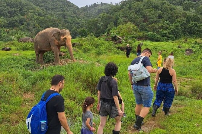 Phuket City Tour & Elephant Sanctuary: Sights, Tastes, Culture - Practical Details and What to Expect