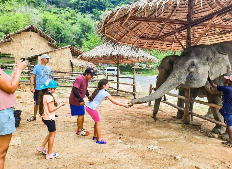Phuket City Tour with Viewpoints, Temples & Elephant Feeding - Scenic Mountain Views & Monkeys