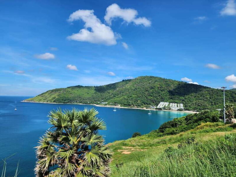 Phuket City Tour with Viewpoints, Temples & Elephant Feeding - Strolling Phuket Old Town